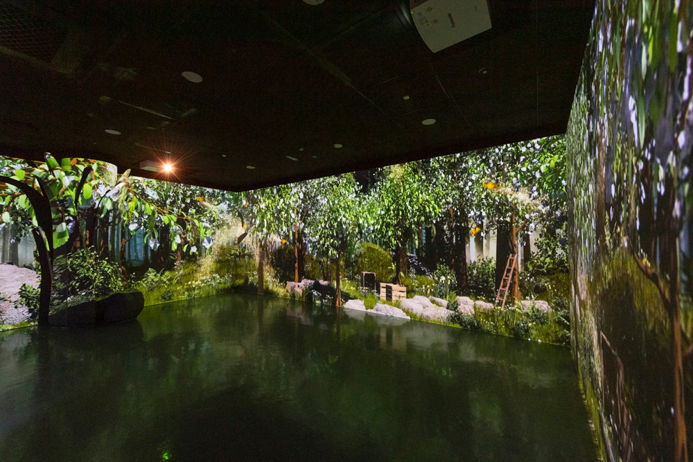 Insectarium