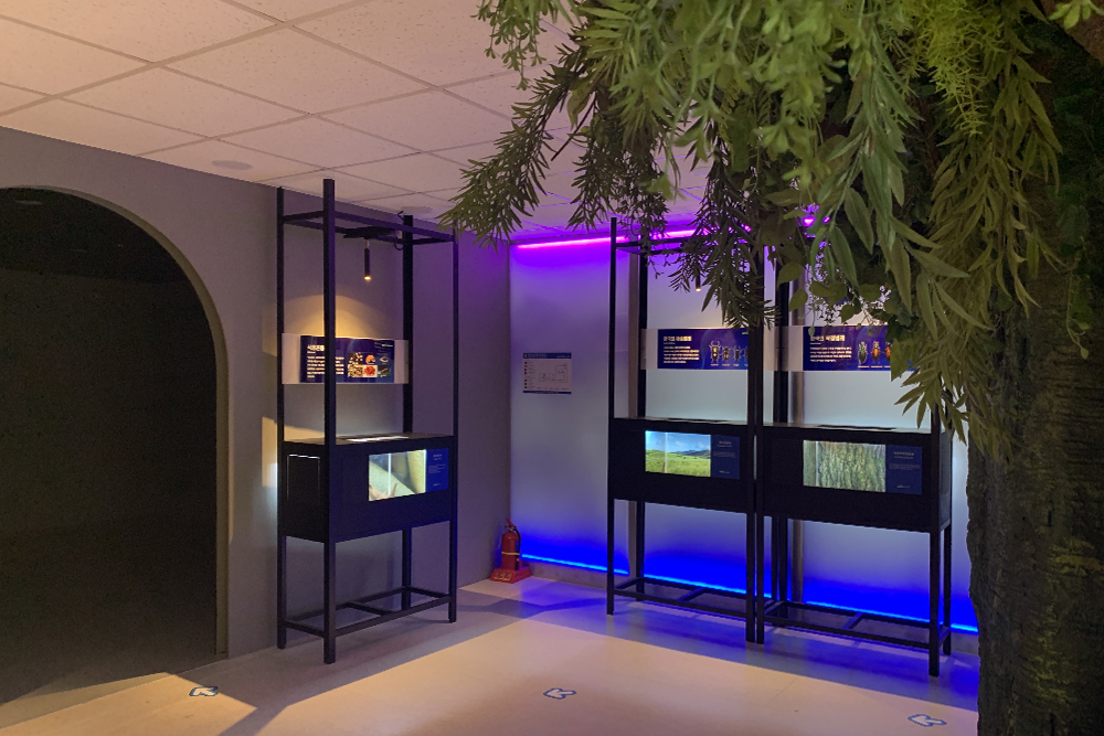 Insectarium