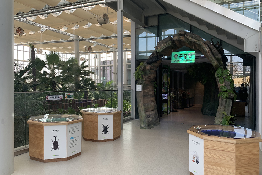 Insectarium